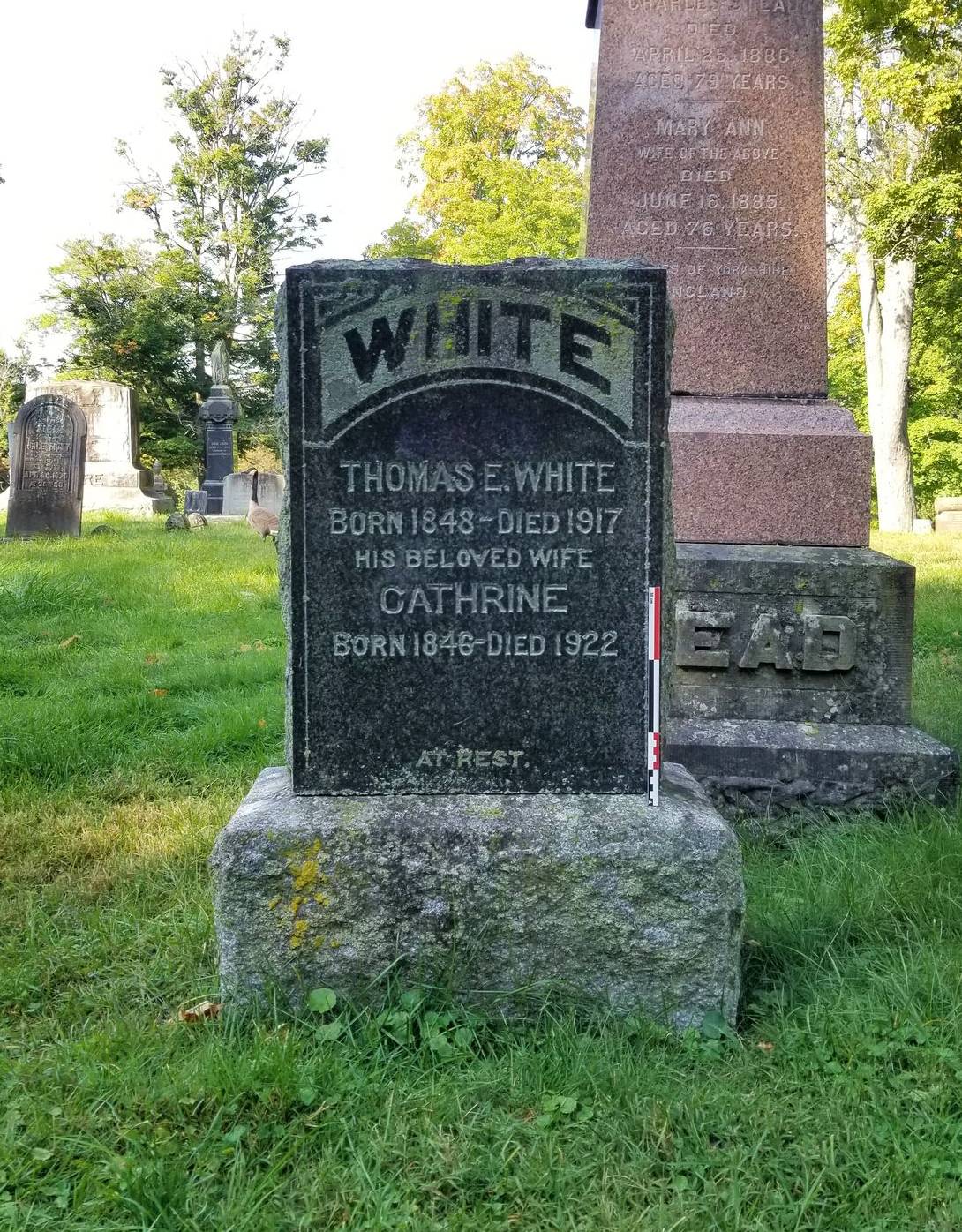 Photography of Gravestones for a Historic Survey: A How-To Guide ...