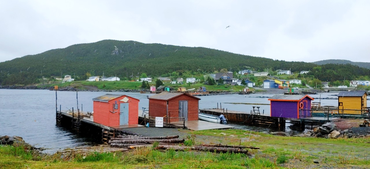 Site Visit to Bloody Point, New Perlican, NL | Spade & the Grave