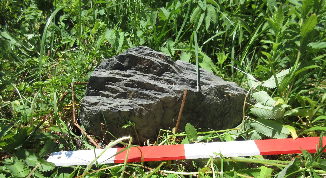 Burial Ground Mapping in New Perlican: Total Stations & Gravestones ...
