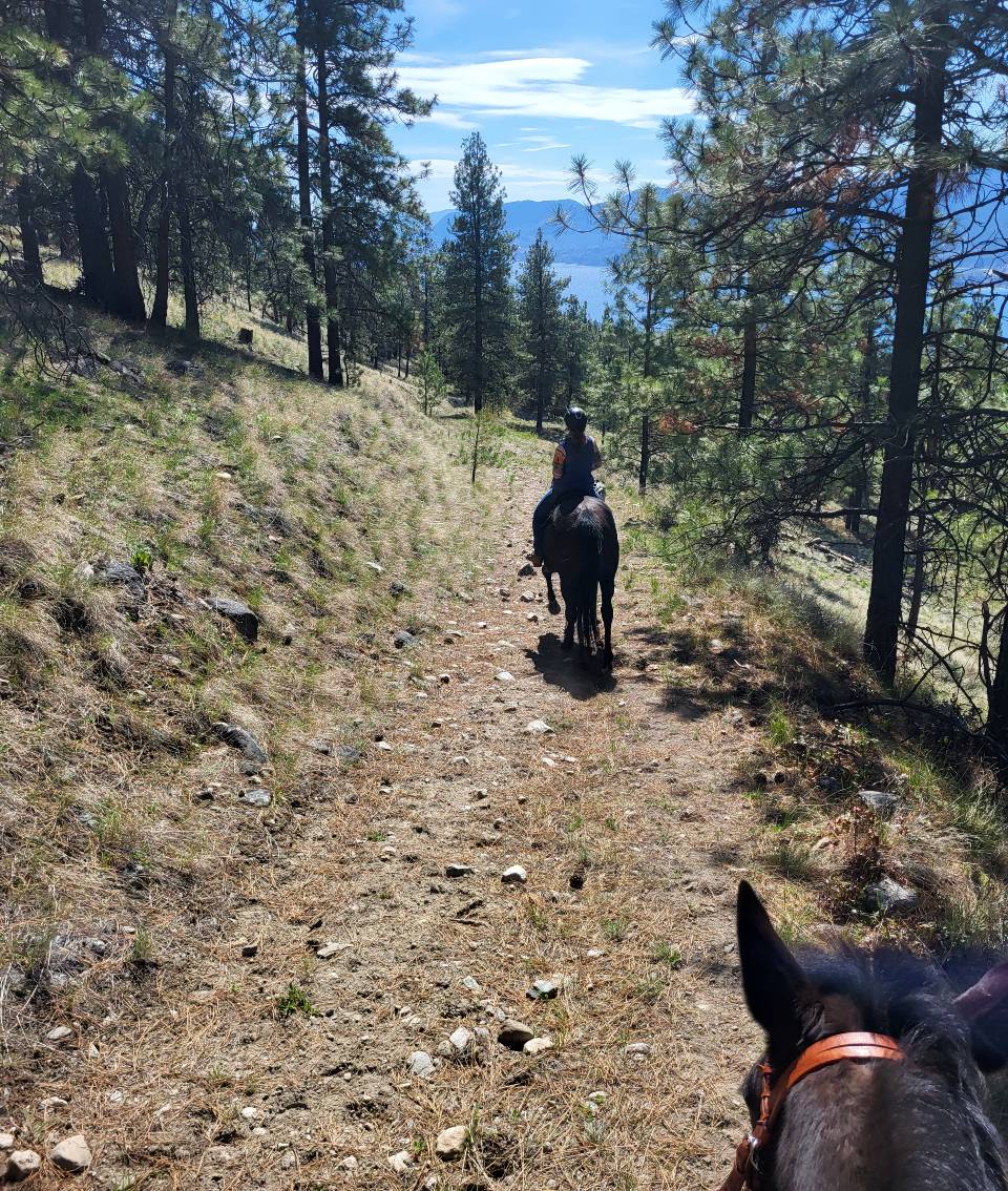 Spade & the Grave | death and burial through an archaeological lens